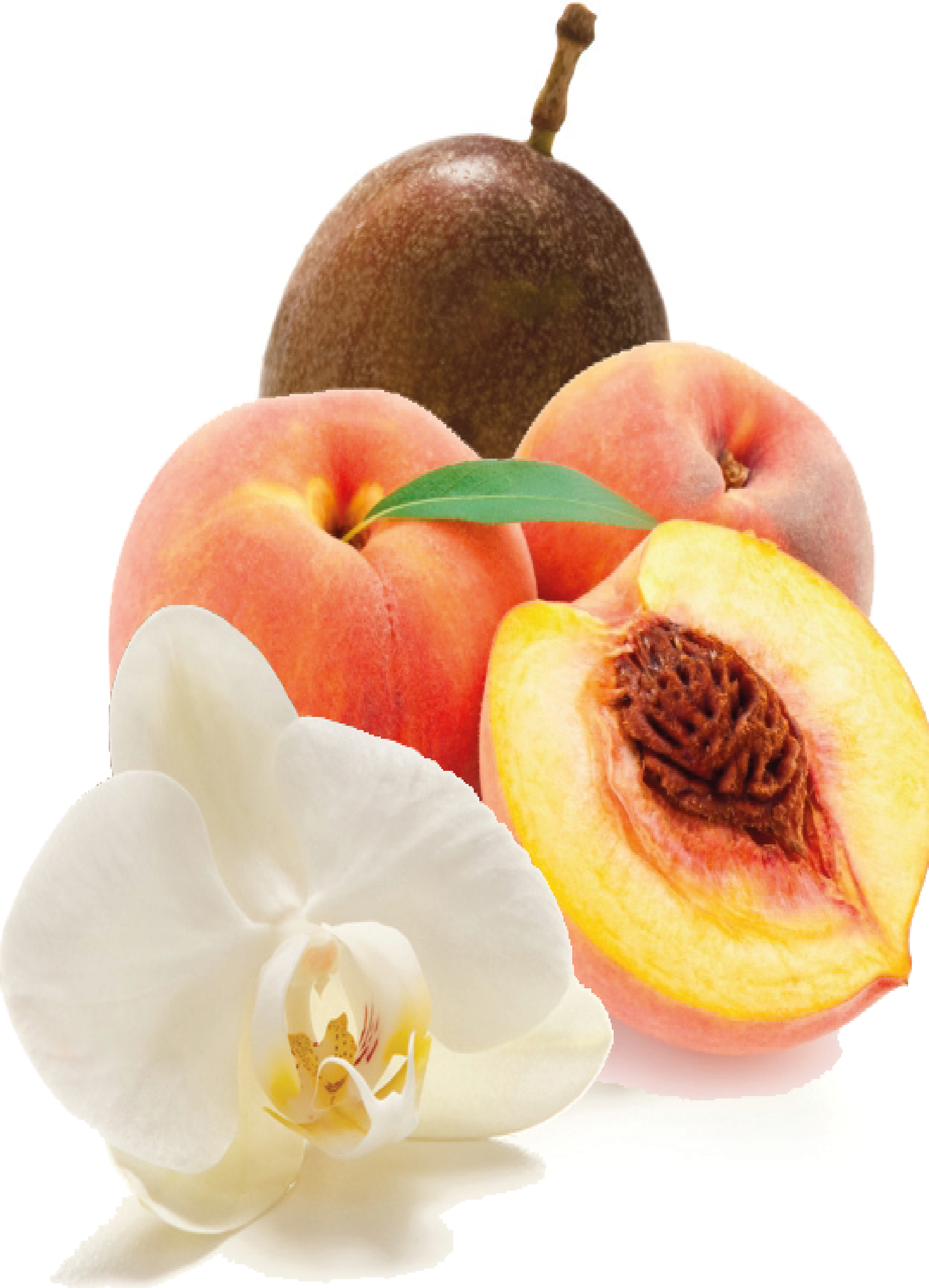 PEACH POWDER PLUS | Industrial Fragrance